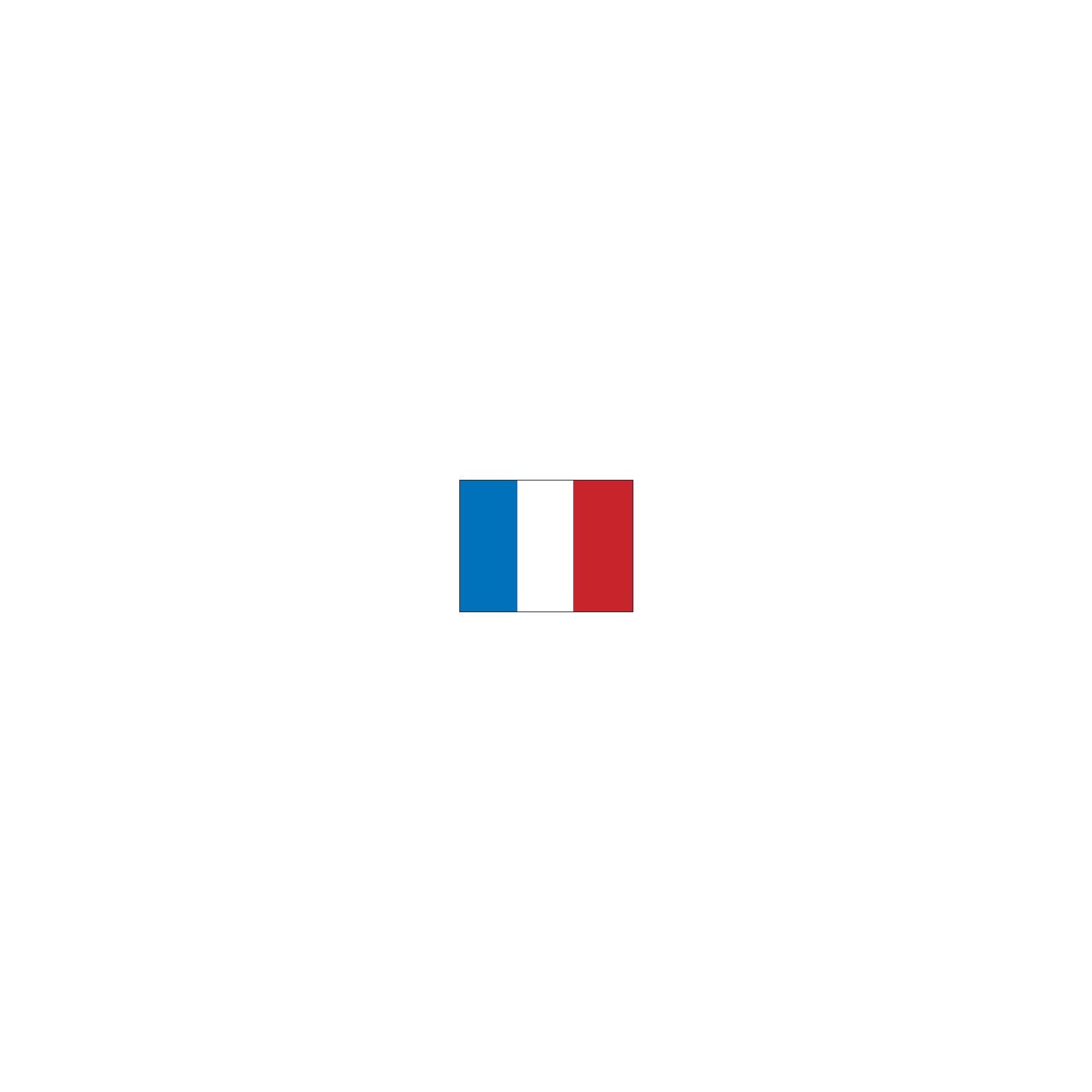 Pavillon Français pour bateau